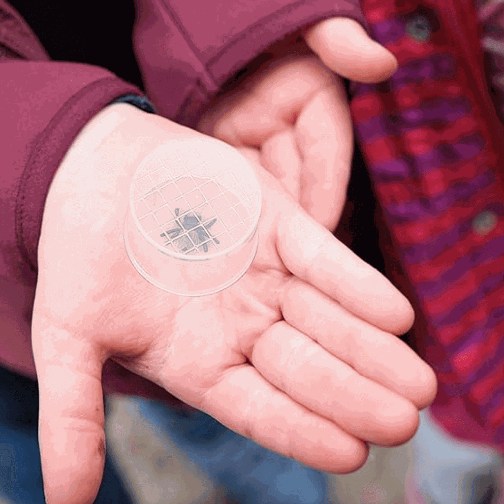 FRASCO ATRAPA INSECTOS | Alegría